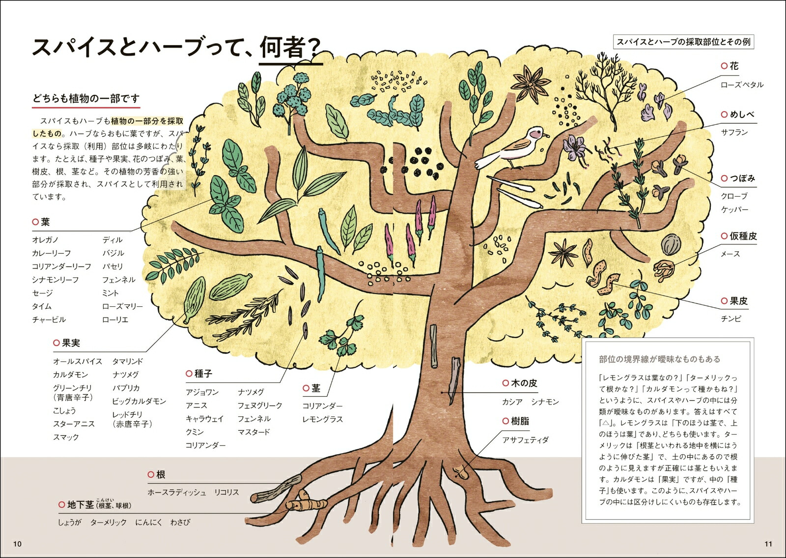 楽天ブックス もっと自由に、もっと楽しく! スパイス&ハーブの教科書 水野 仁輔 9784816375996 本